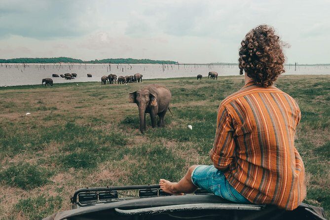 Colombo to Trincomalee Shuttle & Safari Drive - A Detailed Look at the Tour Experience