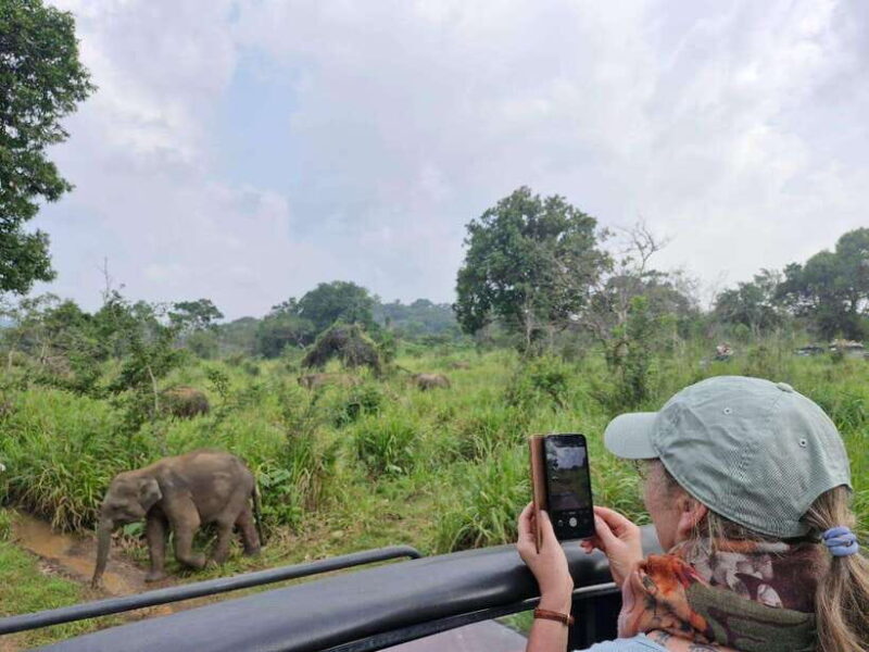 Colombo to Yala via Sigiriya, Kandy Private 4-Day Tour - Introduction & Tour Overview