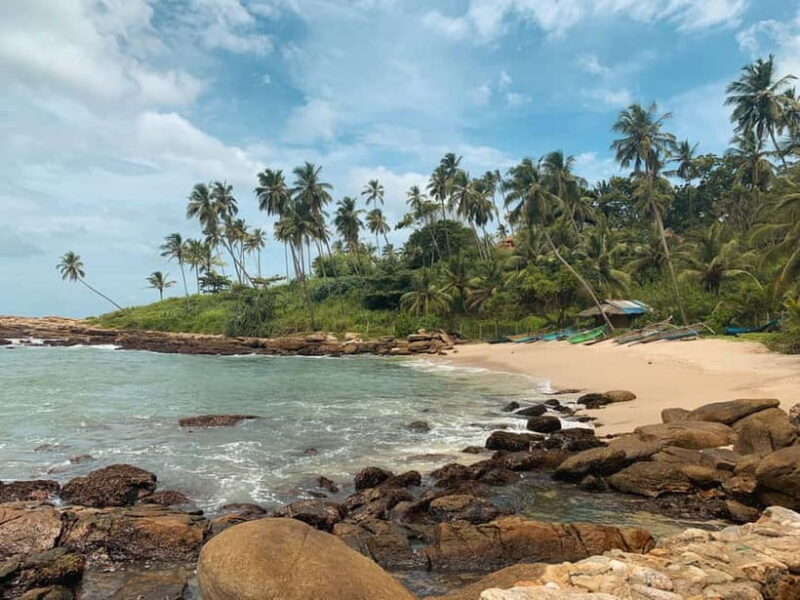 Colombo to Yala via Sigiriya, Kandy Private 4-Day Tour - What Makes This Tour Valuable?