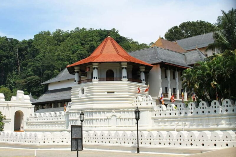 Colombo to Yala via Sigiriya, Kandy Private 4-Day Tour - Final Thoughts