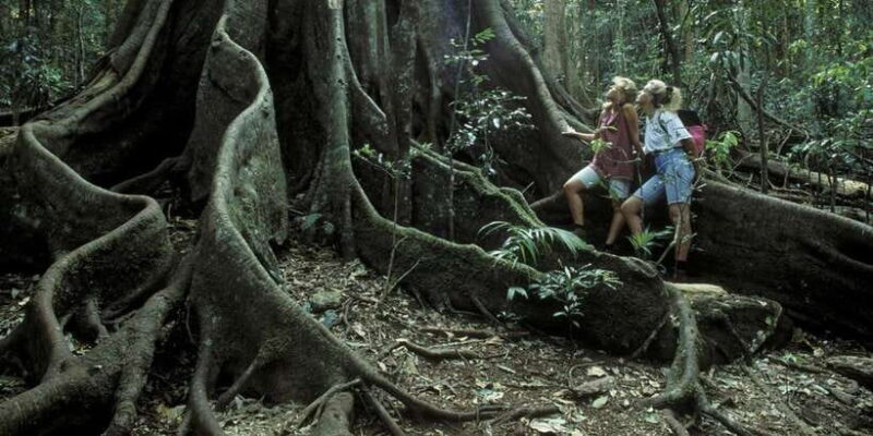 Colombo: Water rafting, Bird Watching, Village & Rainforest - Introduction: An All-in-One Day of Adventure in Sri Lanka