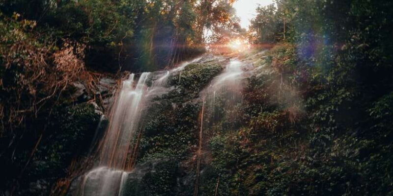 Colombo: Water rafting, Bird Watching, Village & Rainforest - Summary: Who Will Love This Tour?