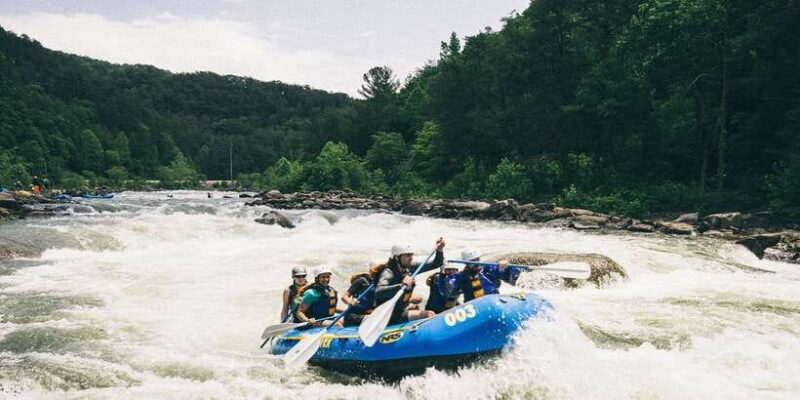 Colombo: Water rafting, Bird Watching, Village & Rainforest - Final Thoughts