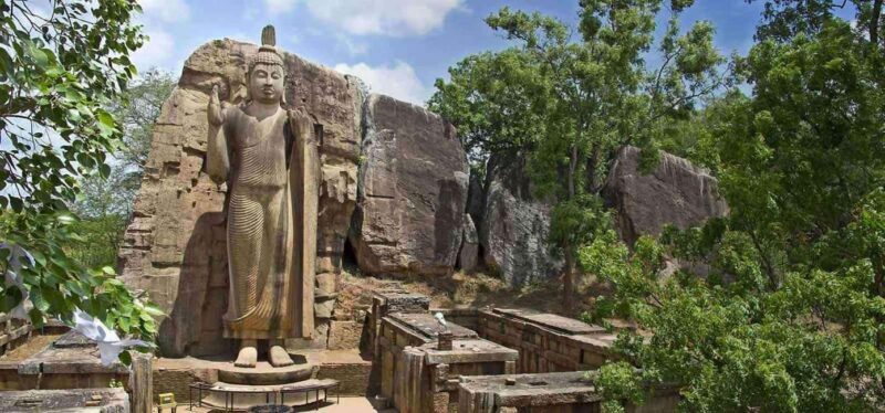 Colombo:Anuradhapura & Wilpattu Safari All Inclusive Tour - The Experience and What Travelers Say