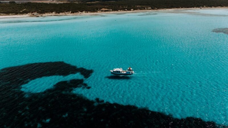 Colònia de Sant Jordi: Es Trenc Boat Tour with Snorkeling - Who Will Love This Tour?