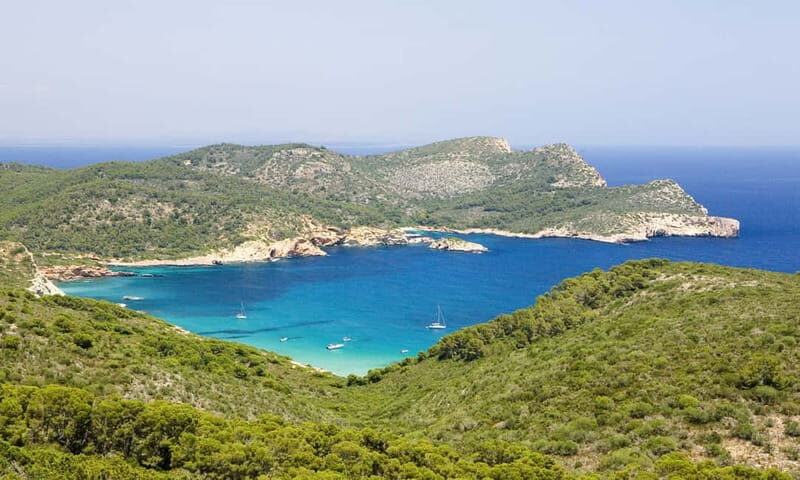 Colonia Sant Jordi: Classic & Express Boat Tour to Cabrera - Who Should Consider This Tour?