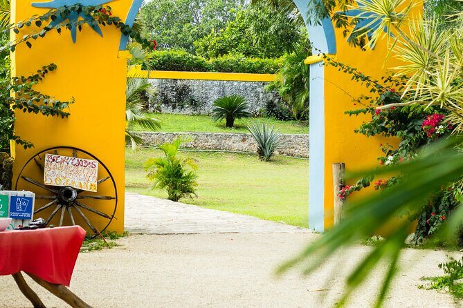 Colonial Valladolid and Cenote Swimming Private Tour from Cancun - Exploring Valladolid: The Colonial Heart of Yucatán