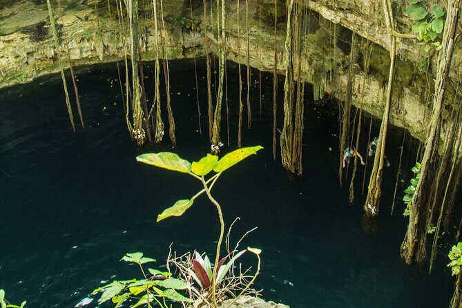 Colonial Valladolid and Cenote Swimming Private Tour from Cancun - Who Will Love This Tour?