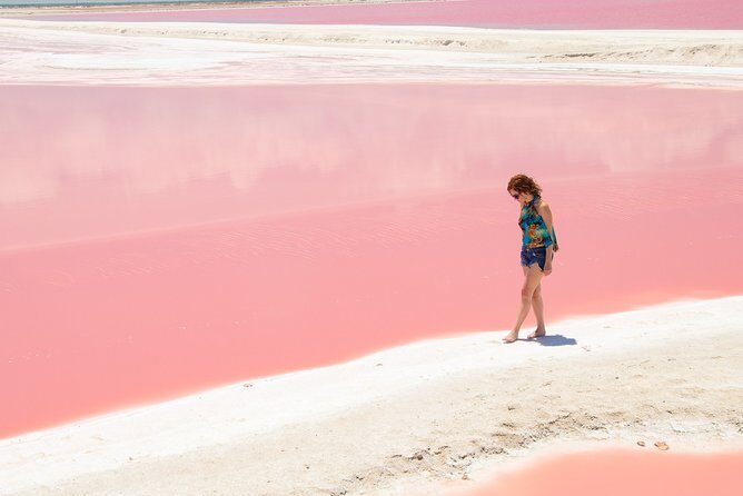 Coloradas Pink Lagoon Adventure from Playa del Carmen and Riviera Maya - A Closer Look at the Tour Experience