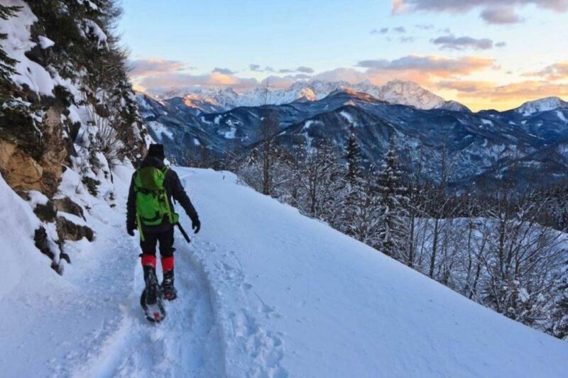 Colorado Backcountry: Guided Snowshoe Tour - Key Points