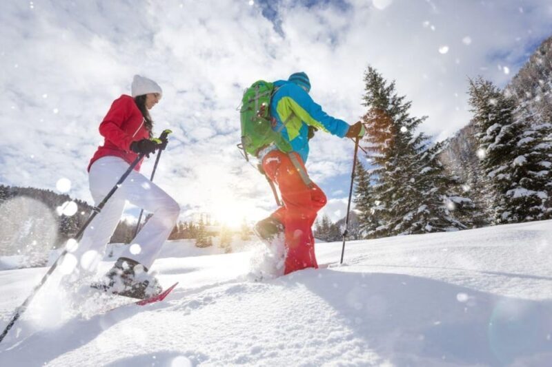 Colorado Backcountry: Guided Snowshoe Tour - What To Expect During Your Snowshoe Tour