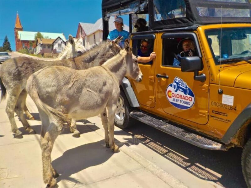 Colorado Jeep Tours - Gold Belt Tour - Colorado Jeep Tours - Gold Belt Tour: An In-Depth Review