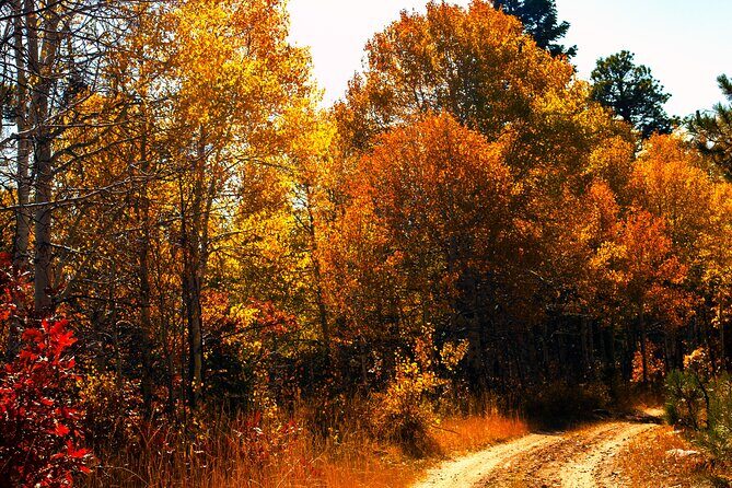Colorado Peak-to-Peak Tour (Fall-Color-Extravaganza) - What We Love About This Tour