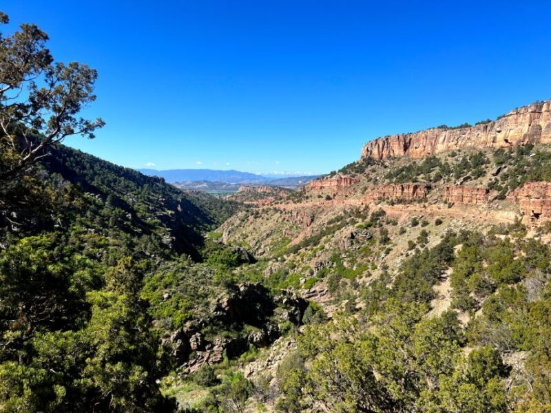 Colorado Springs: Cripple Creek Backcountry Jeep Tour - Final Thoughts