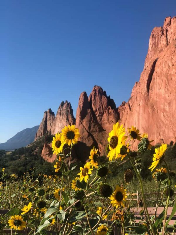 Colorado Springs: Garden of the Gods & Historic Town Tour - Key Points