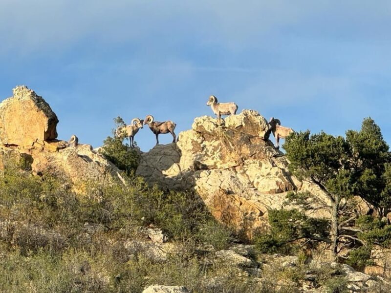 Colorado Springs: Garden of the Gods & Historic Town Tour - The Sum Up