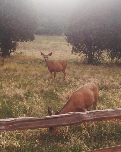 Colorado Springs: Garden of the Gods & Manitou Springs Tour - The Sum Up