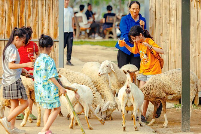 Colorful Rainbow Slide Experience - Practical Tips for Visitors