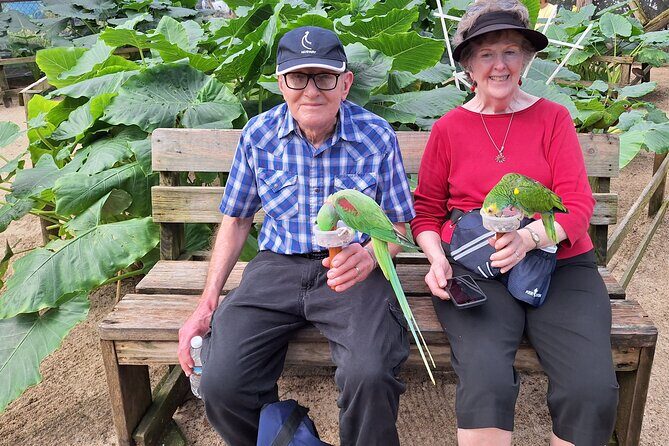 Colorful Species Of Birds - FAQ