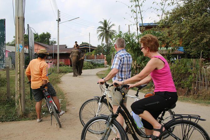 Colors of Ayutthaya Full-Day Bike Tour - Practical Considerations