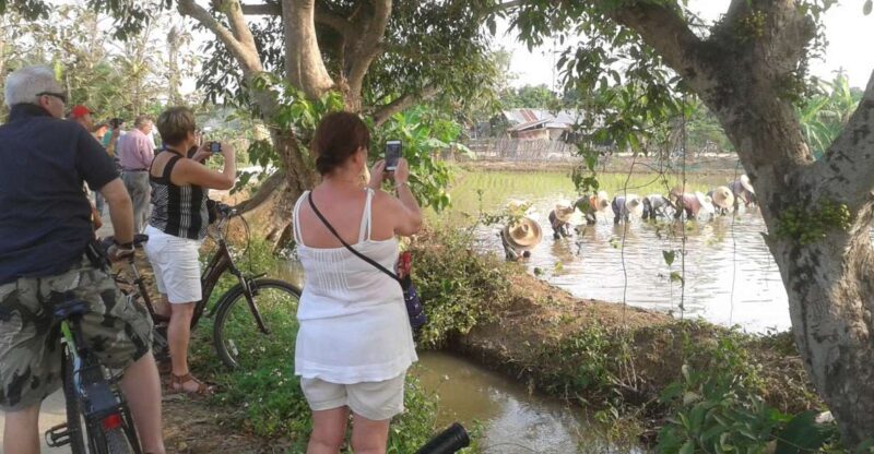 Colors of Chiang Mai Guided Bicycle Tour - Key Points
