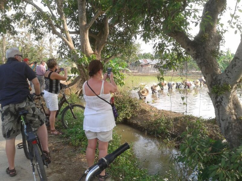 Colors of Chiang Mai Guided Bicycle Tour - Itinerary Breakdown