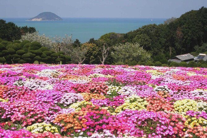 Colors of Japan, Fukuoka Nokonoshima Island Park & Wagyu BBQ - Exploring Nokonoshima Island Park: What You’ll Experience