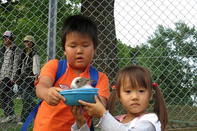 Colors of Japan, Fukuoka Nokonoshima Island Park & Wagyu BBQ - Transportation, Group Size, and Comfort