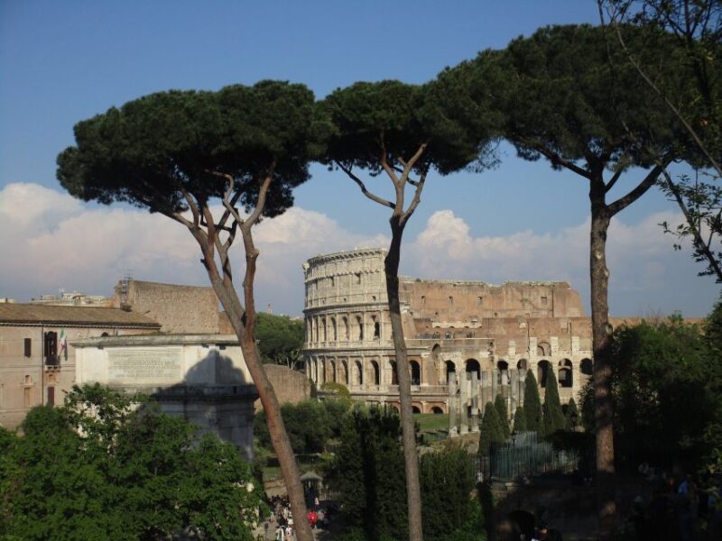 Colosseum Express Tour with Local Guide - Key Points