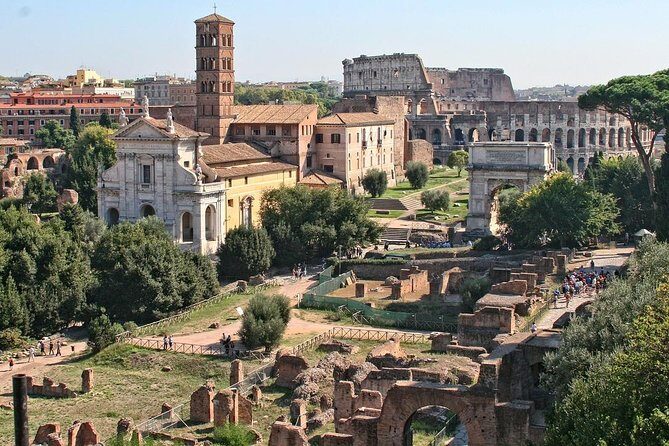 Colosseum, Palatine Hill, and Roman Forum Private Tour - Who Will Appreciate This Tour?