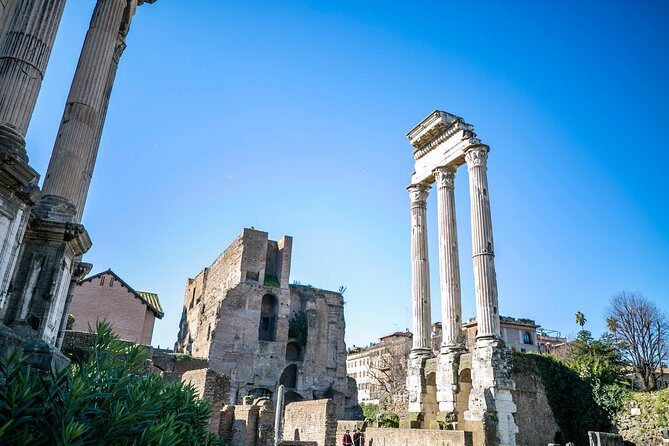 Colosseum, Roman Forum and Palatine Hill Private Tour - An In-Depth Look at the Experience