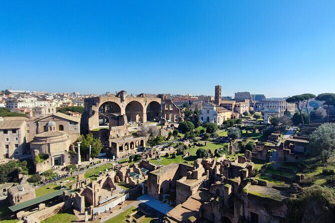 Colosseum, Roman Forum & Palatine Hill - Group Tour - Who Is This Tour Best Suited For?