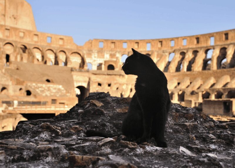 Colosseum, Roman Forum, Palatine Hill - the PRIVATE TOUR - The Price and Its Value