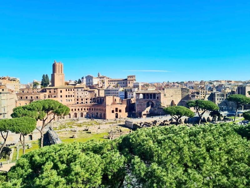 Colosseum with Arena, Roman Forum & Palatine Guided Tour - The Roman Forum: A Vibrant Gathering Space