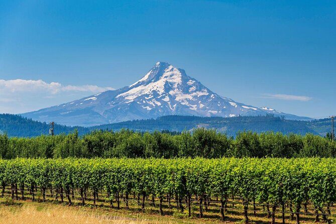 Columbia Gorge Waterfalls and Mt. Hood Tour - Full Day - Key Points: