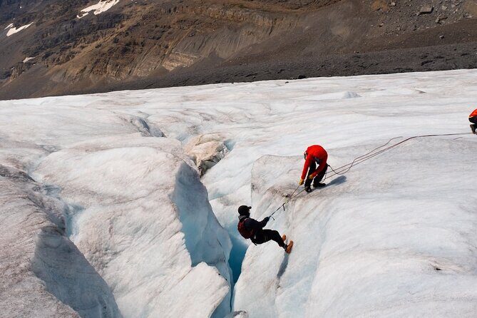 Columbia Icefield Adventure,Bow Lake,Peyto Lake in Banff & Jasper - FAQ