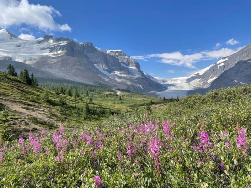 Columbia Icefield: Guided Glacier Hike - Key Points