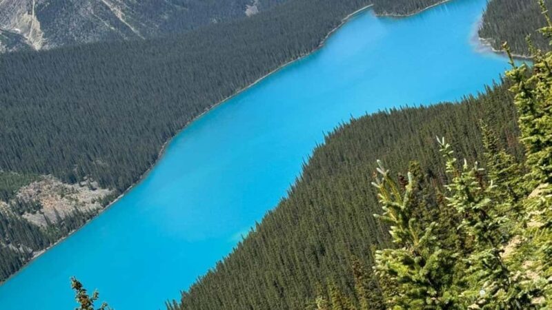 Columbia Icefield, Skywalk, Crowfoot Glacier, and Lakes Tour - Columbia Icefield Adventure