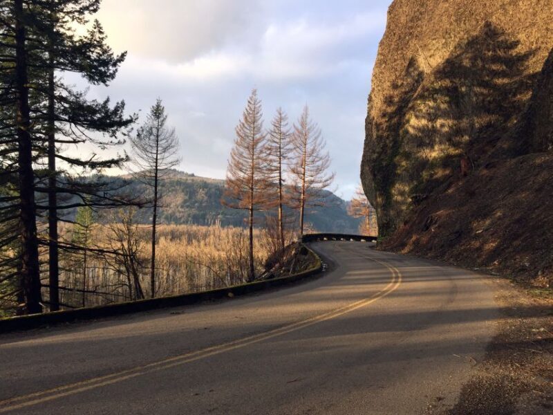 Columbia River Gorge Half-Day Small-Group Hiking Tour - Final Thoughts: Is This Tour Worth It?