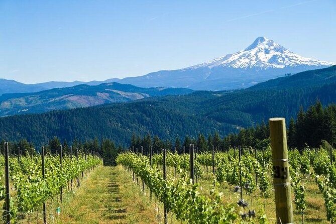 Columbia River Gorge Waterfall Tour from Portland - The Itinerary: What’s Included?