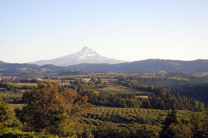Columbia River Gorge Waterfalls & Mt Hood Tour from Portland, OR - The Verdict: Who Will Love This Tour?