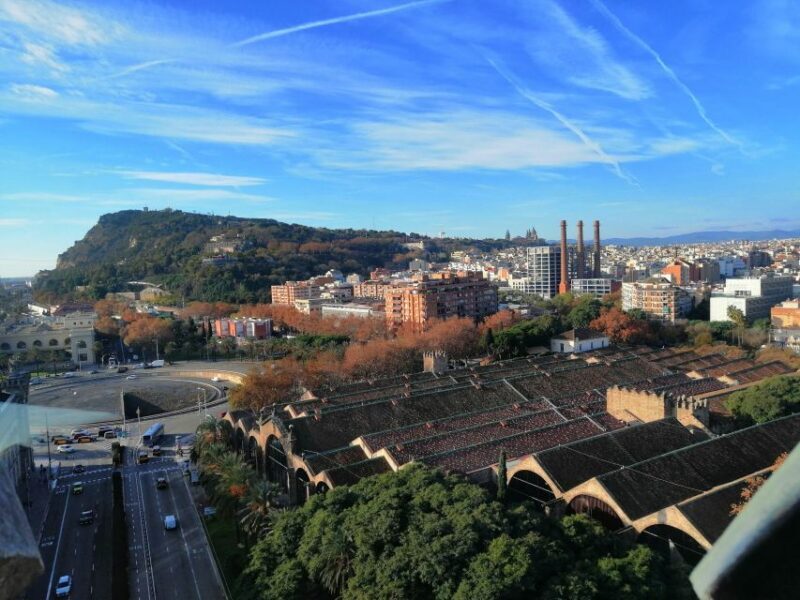 Columbus Monument Access With Barcelona Seaside Tour - In Summary: Who Will Love This Tour