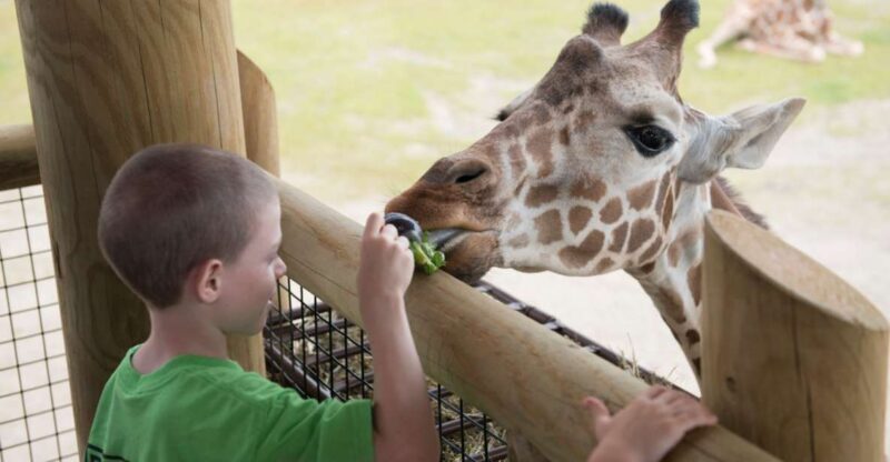Columbus: Multiple Attractions Pass - Exploring Columbus with the Multiple Attractions Pass