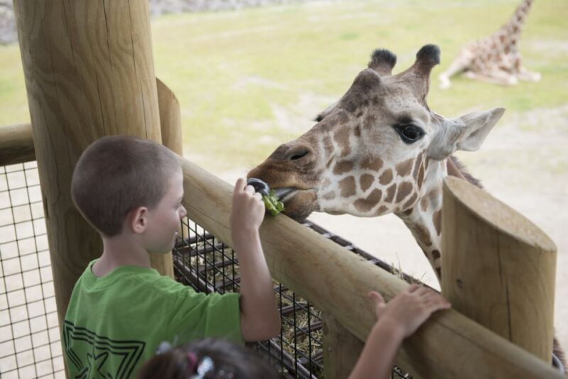Columbus: Multiple Attractions Pass - What’s Included and What’s Not?