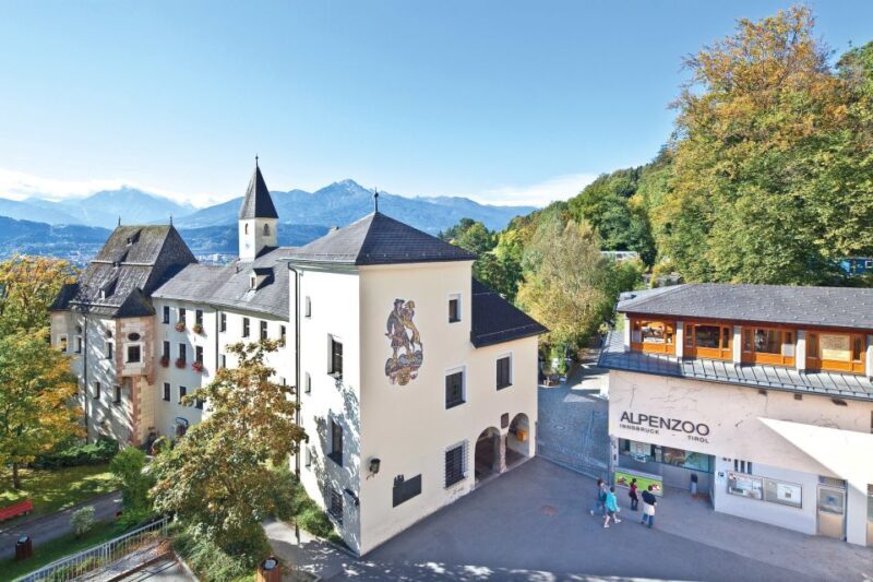 Combi Entrance Ticket to Alpine Zoo and Hungerburg - The Experience in Detail: What Travelers Can Expect