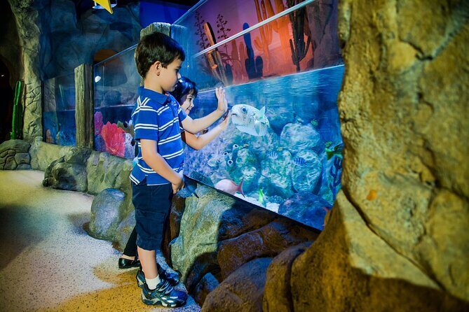 Combi Ticket: LEGOLAND Discovery Centre & SEA LIFE Oberhausen - The Itinerary Breakdown: What to Expect