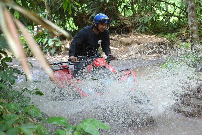 Combination ATV QUAD Bike Ride & Jungle Swing with Complimentary Lunch - The Itinerary: What to Expect Each Step