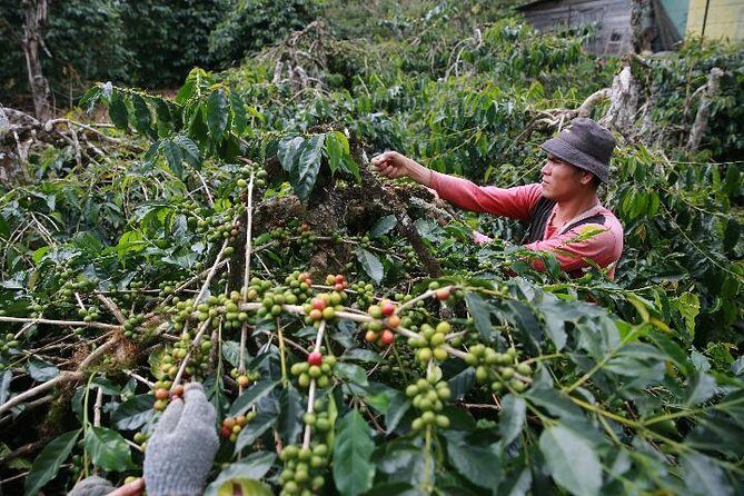 Combination Heaven Gate, Rafting, & Swing All Includes - Final Thoughts