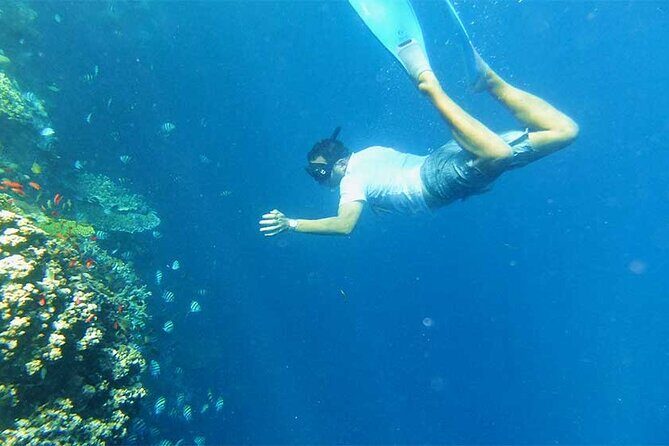 Combination Tour: Ayung river rafting With Blue Lagoon Snorkeling - Discovering Bali’s Natural Wonders: The Combo Tour Experience