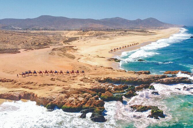 Combo 4x4 Automatic ATV and Camel Ride Tour in Cabo San Lucas - The Camel Ride Experience – The Surprising Exotic Touch